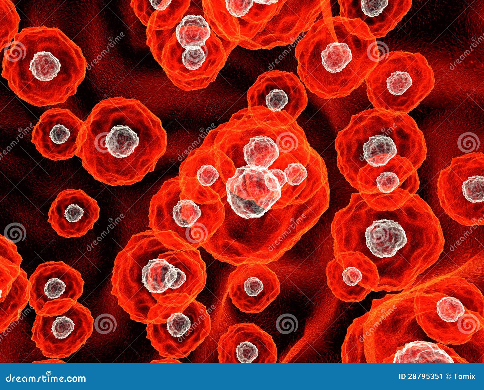 Red cells stock illustration. Illustration of illness - 28795351