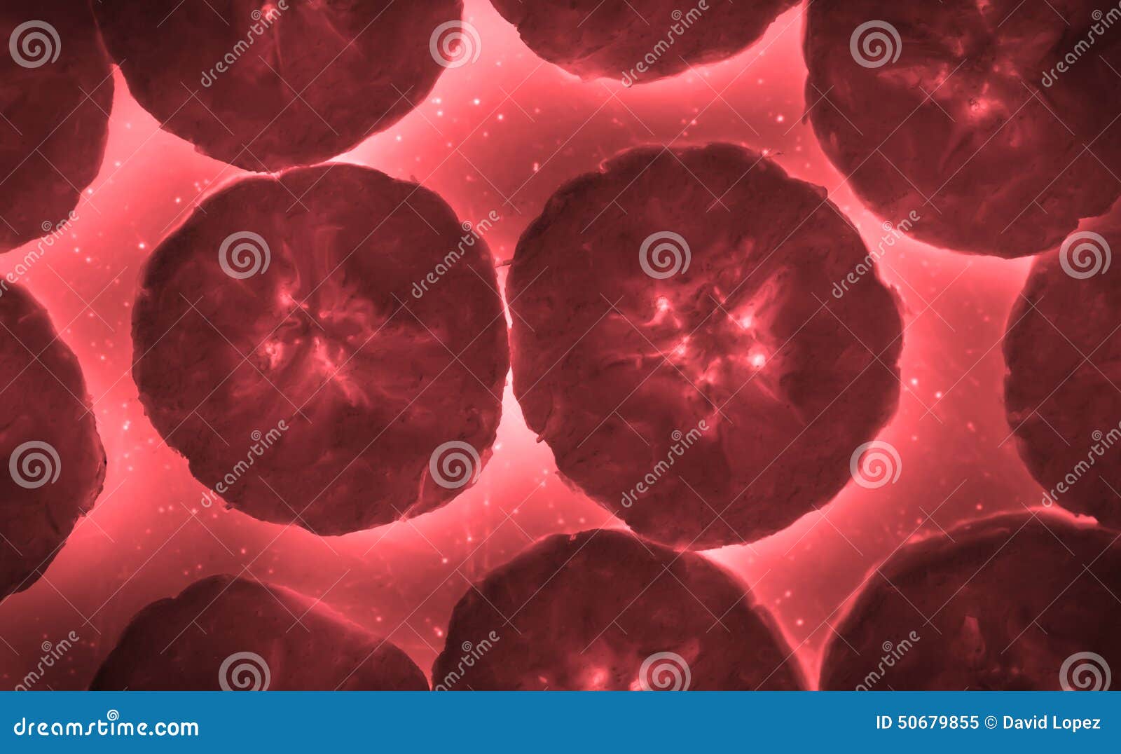 Red cells stock image. Image of medical, artery, microcosmic - 50679855