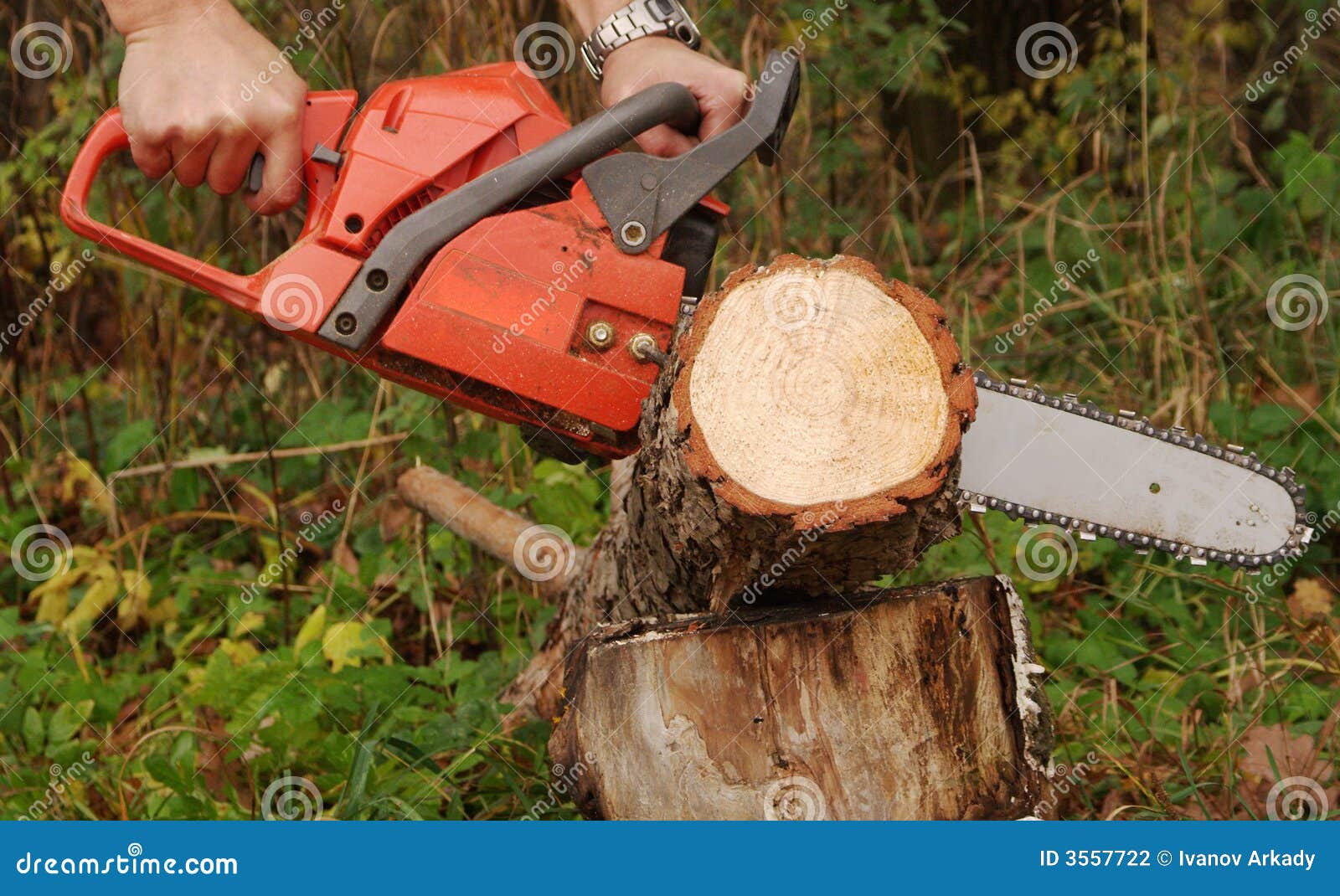 Red chainsaw stock photo. Image of timber, woodcutter - 3557722
