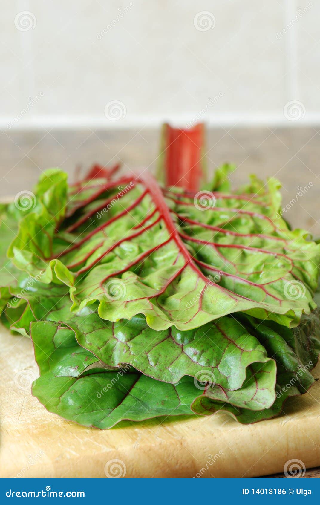 Red chard leaves stock photo. Image of healthy, produce - 14018186