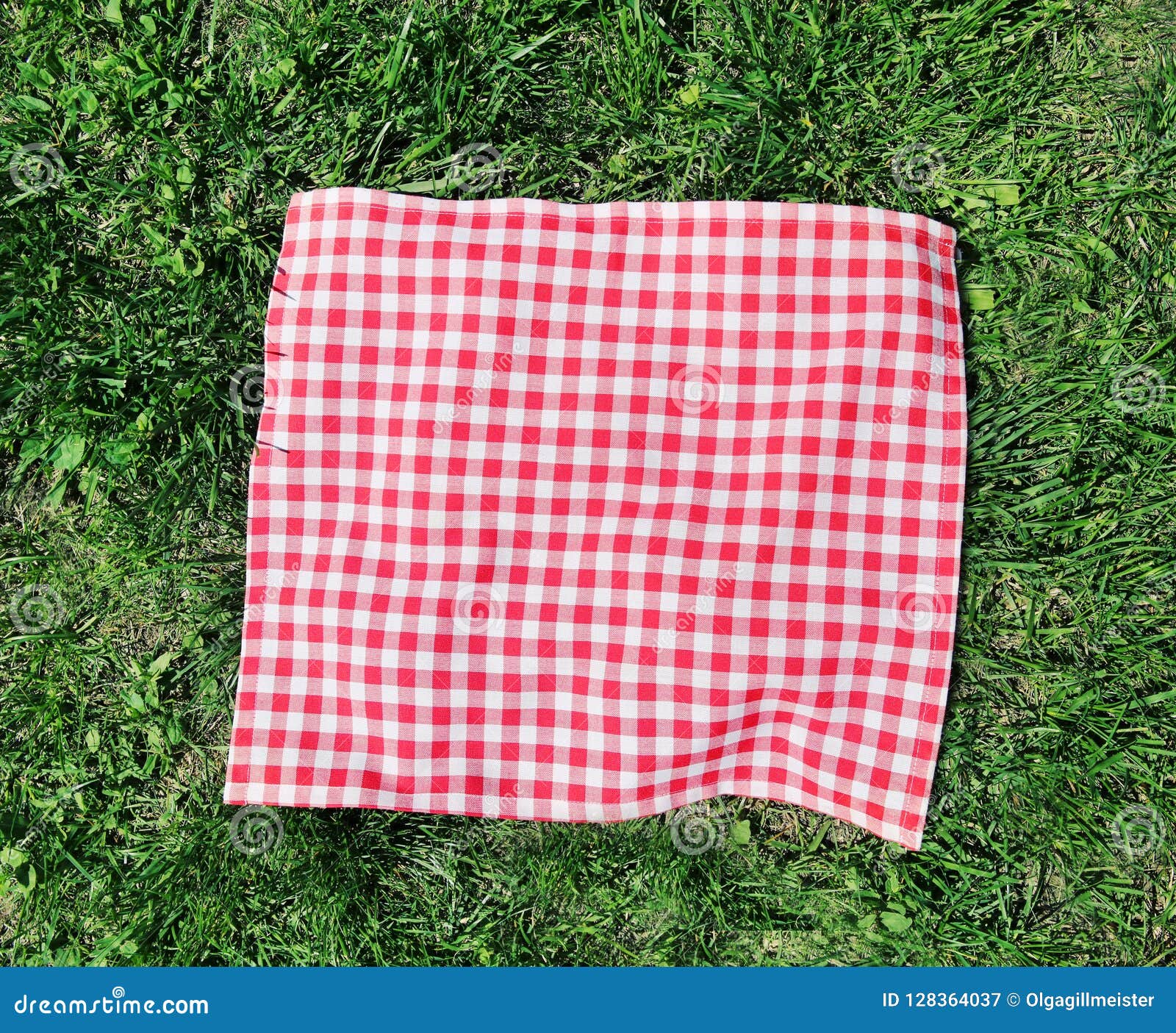 Red Checkered Cloth on Green Grass Top View. Stock Image - Image of ...