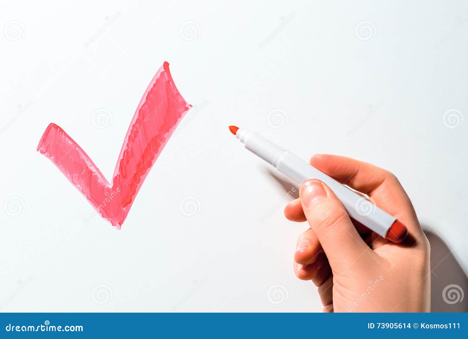 Writing Checkmark In Checkbox In Checklist. Completed And Finished Task ...