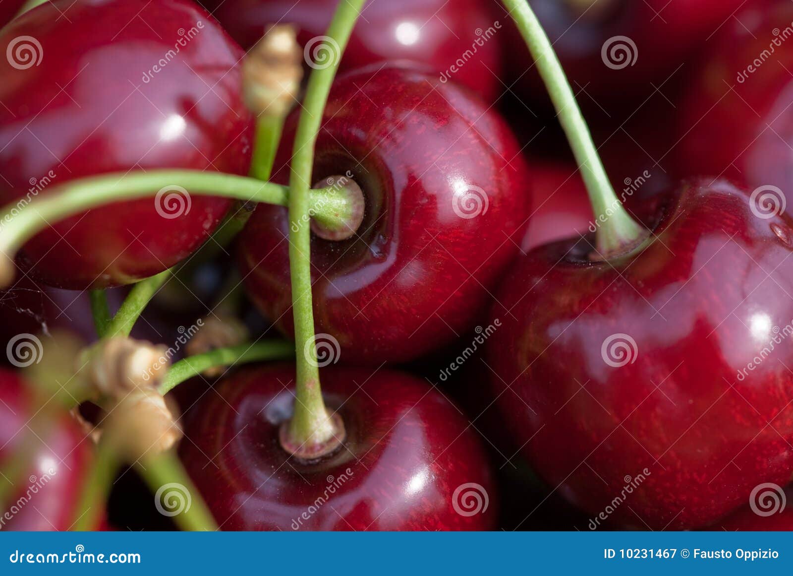 Red cherries stock image. Image of closeup, fresh, green - 10231467