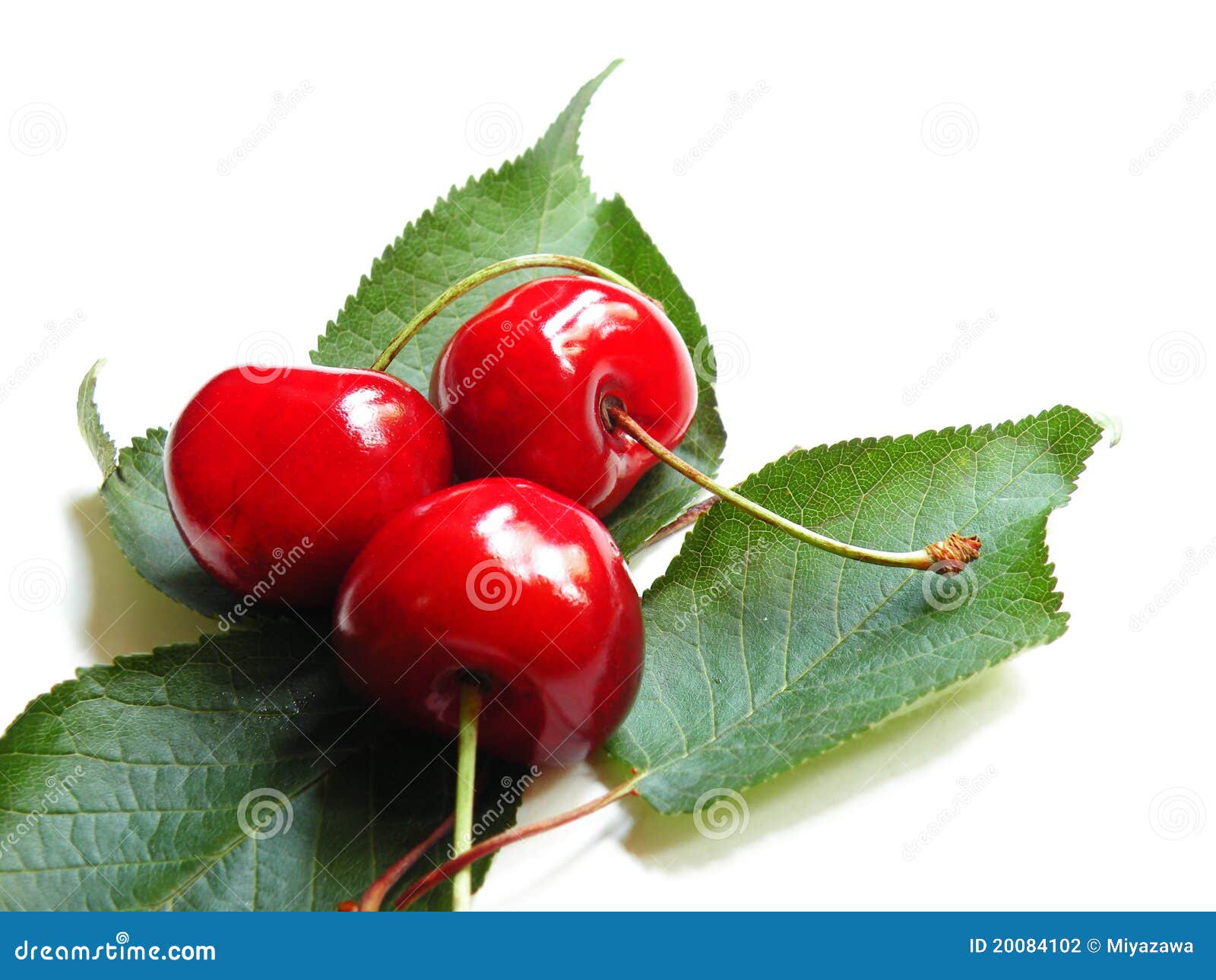 Red cherries stock photo. Image of diet, food, color - 20084102