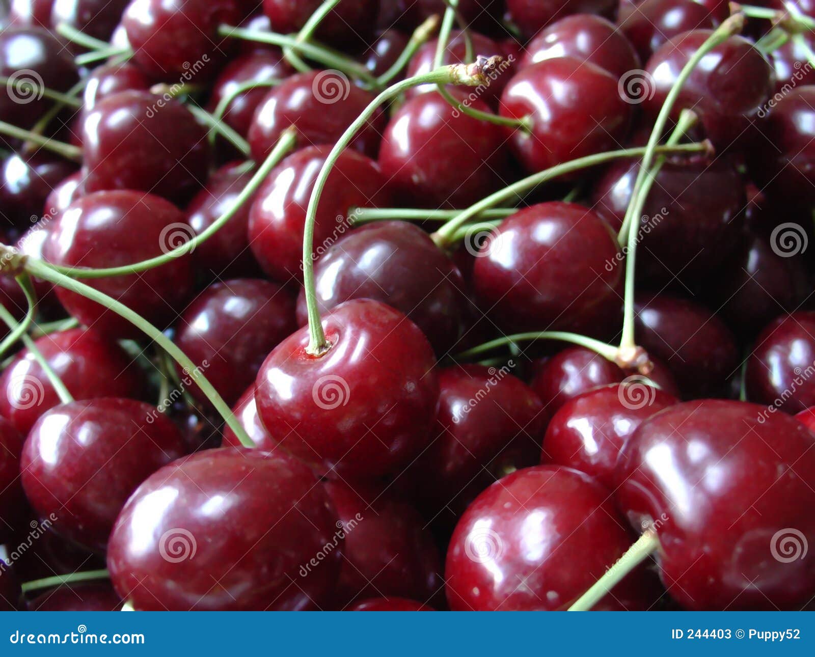 Red cherries stock image. Image of refreshing, berries - 244403