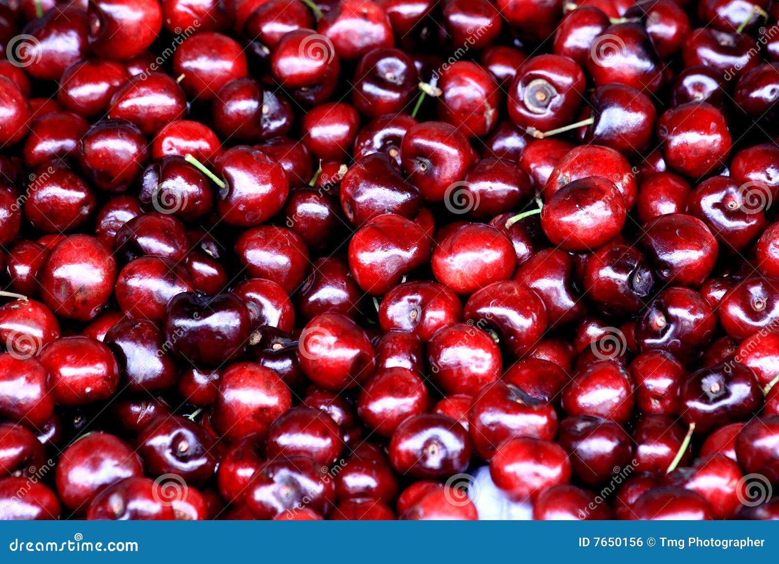Red Cherries stock photo. Image of vitality, fruits, vegetables - 7650156