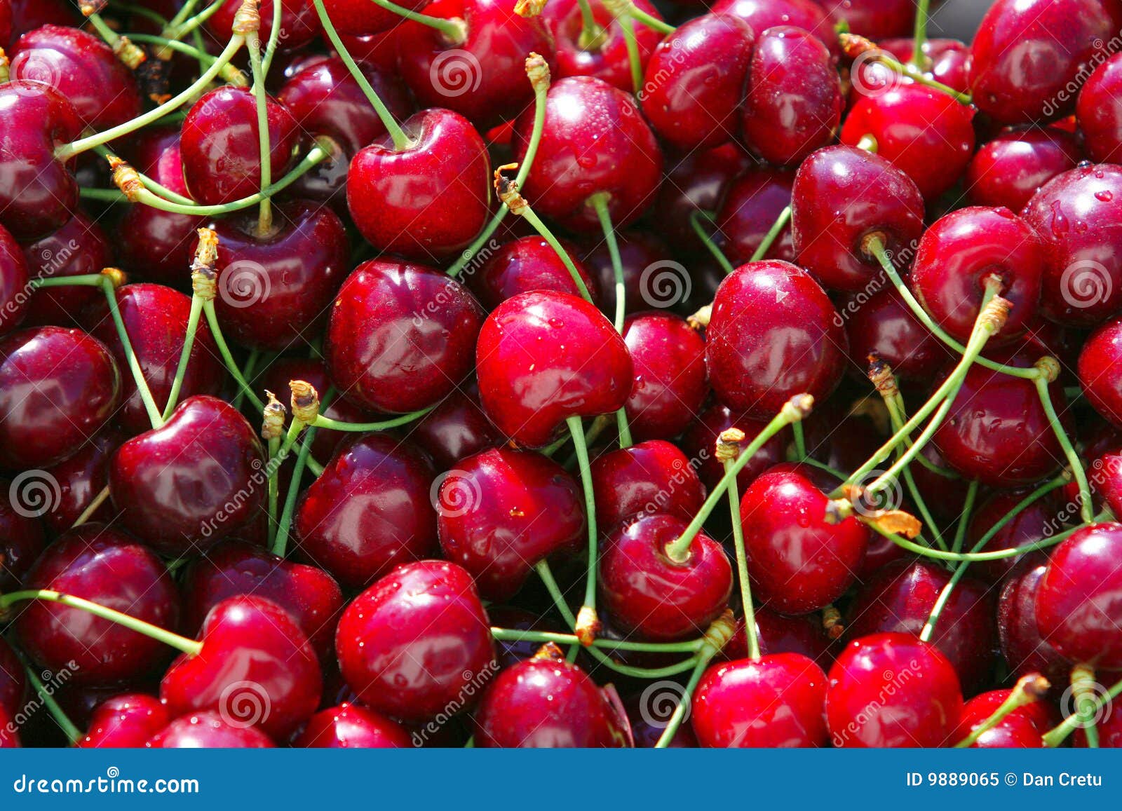 Red cherries stock image. Image of detail, nutritious - 9889065