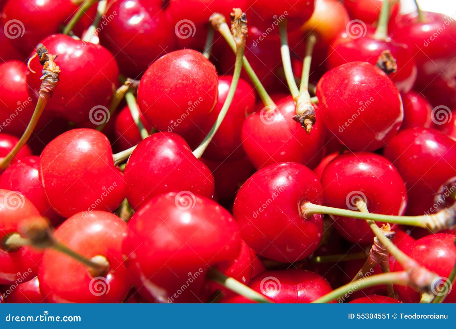 Red cherries stock image. Image of tasteful, late, white - 55304551