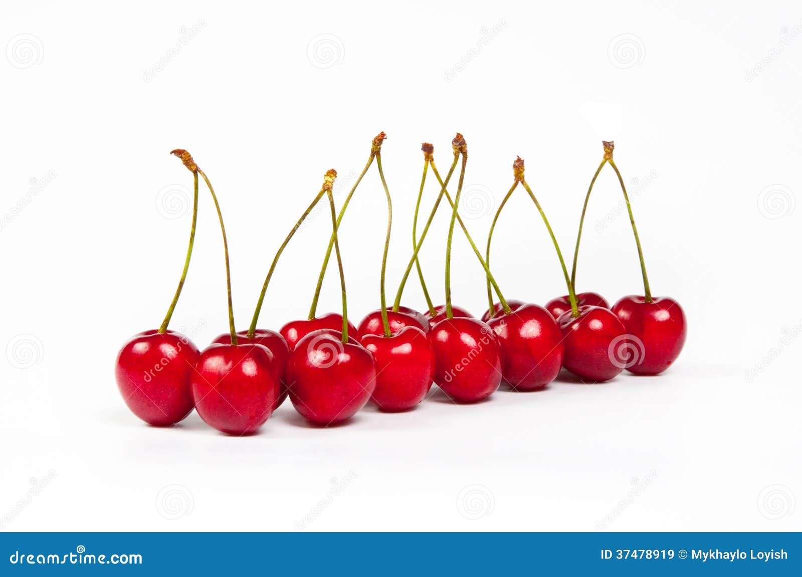 The red cherries stock image. Image of green, cherries - 37478919