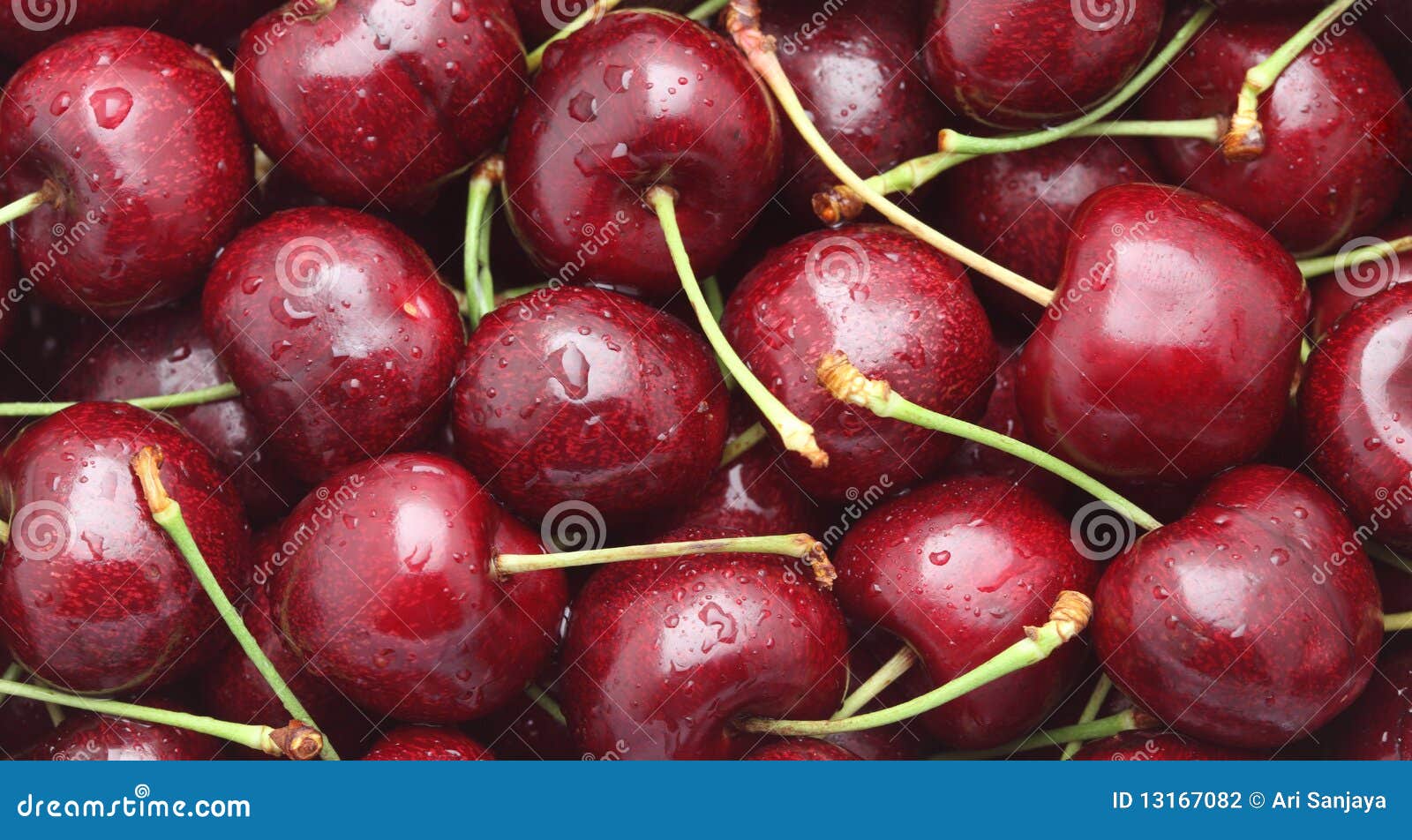 Red cherry stock photo. Image of studio, sweet, health - 13167082