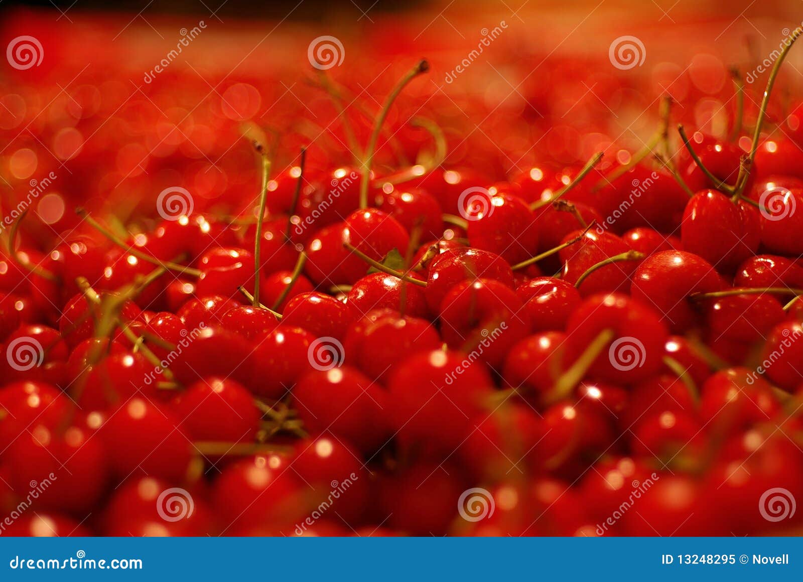 Red cherry stock image. Image of fresh, delicious, cherry - 13248295
