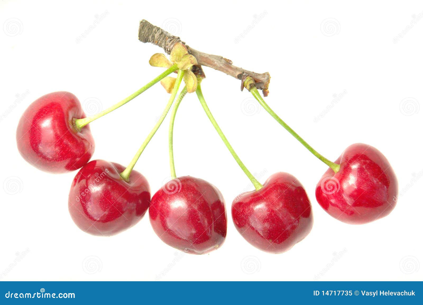 Red cherry stock image. Image of cherry, food, berry - 14717735