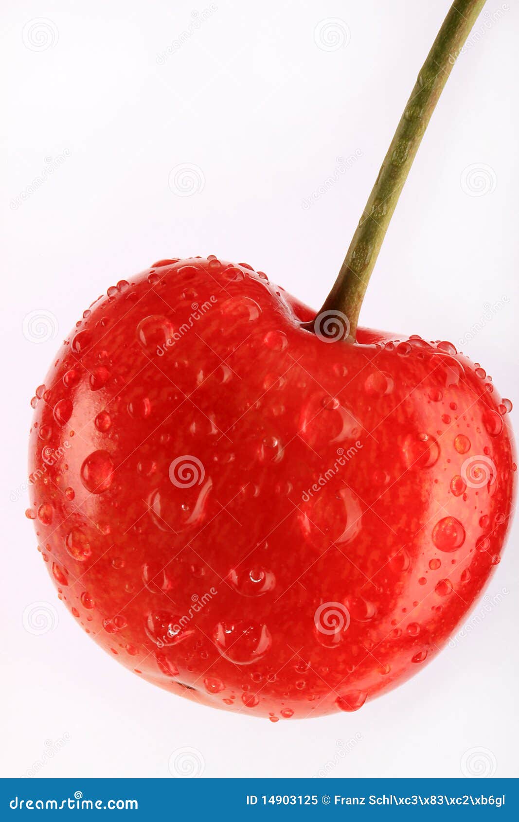 Red Cherry stock image. Image of water, cherries, seed - 14903125