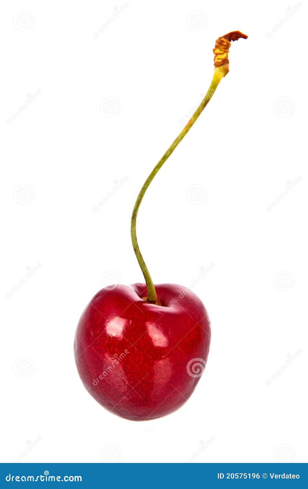 Red cherry stock photo. Image of freshness, shiny, closeup - 20575196