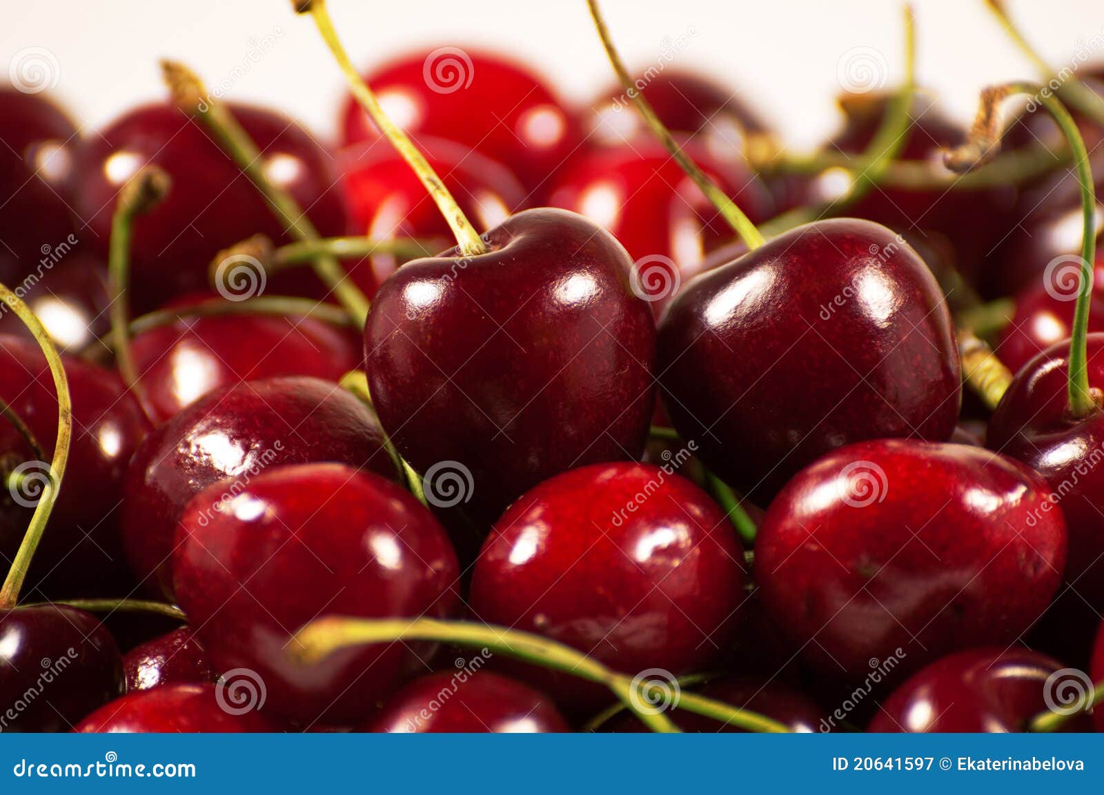 Red cherry stock image. Image of summer, organic, cherries - 20641597