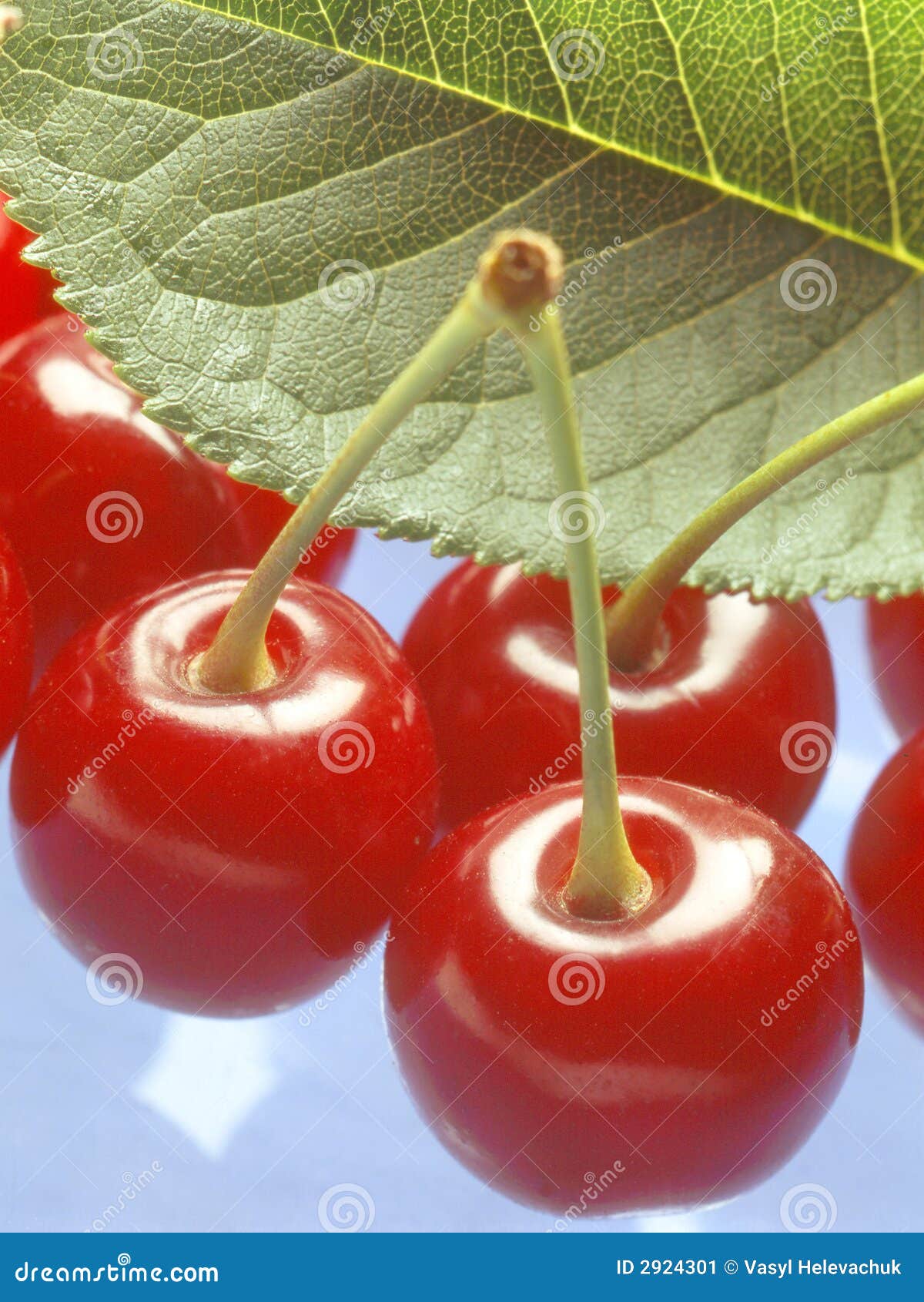 Red cherry stock image. Image of colour, abundance, healthy - 2924301