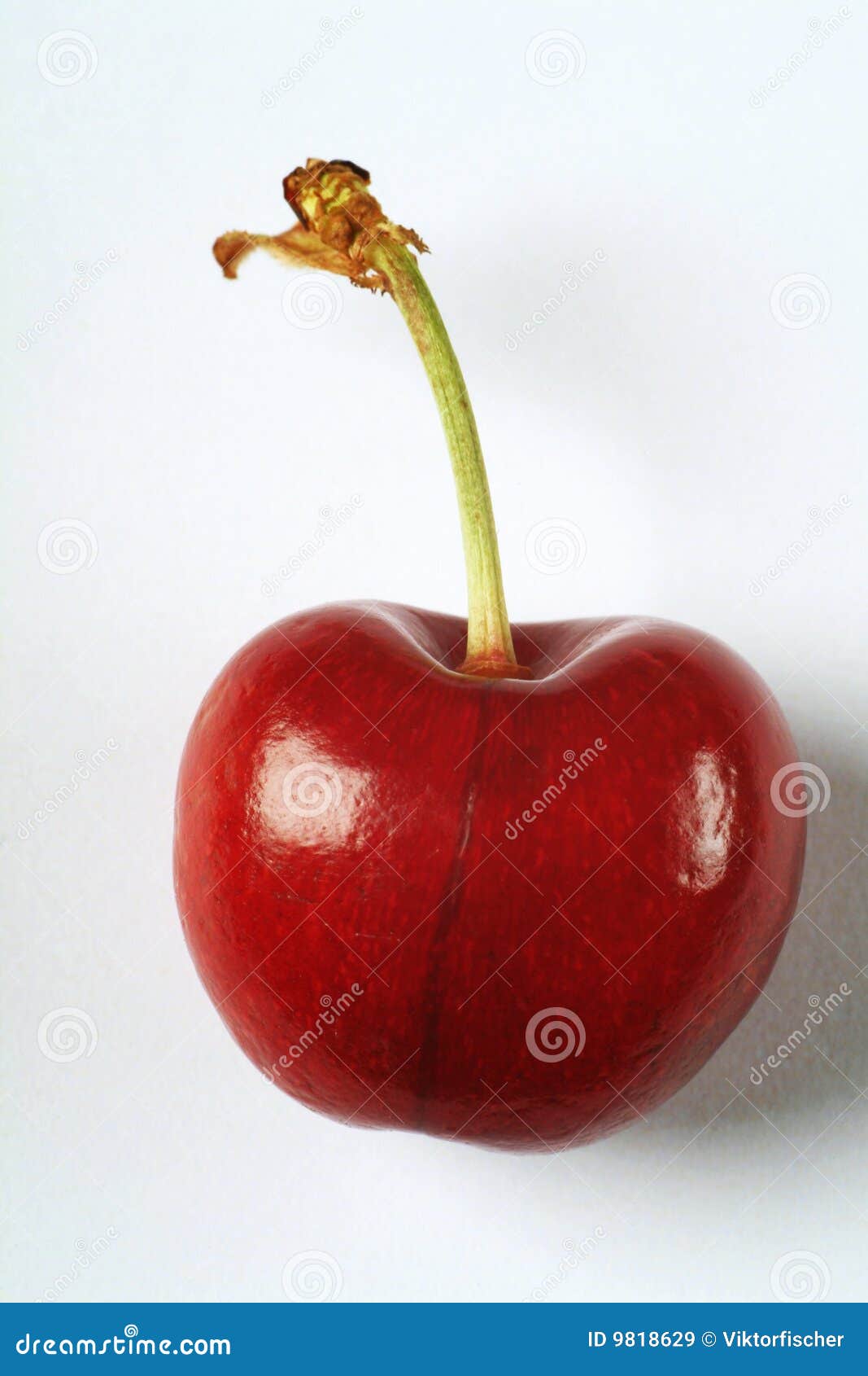 Red Cherry stock image. Image of life, summer, seasonal - 9818629
