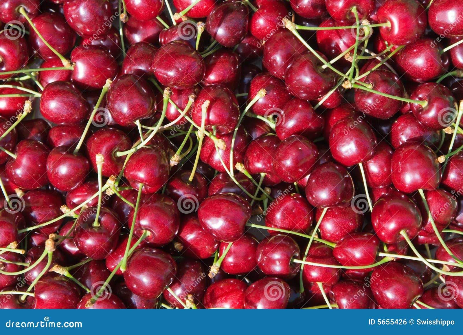 Red cherry background stock photo. Image of bright, abstract - 5655426
