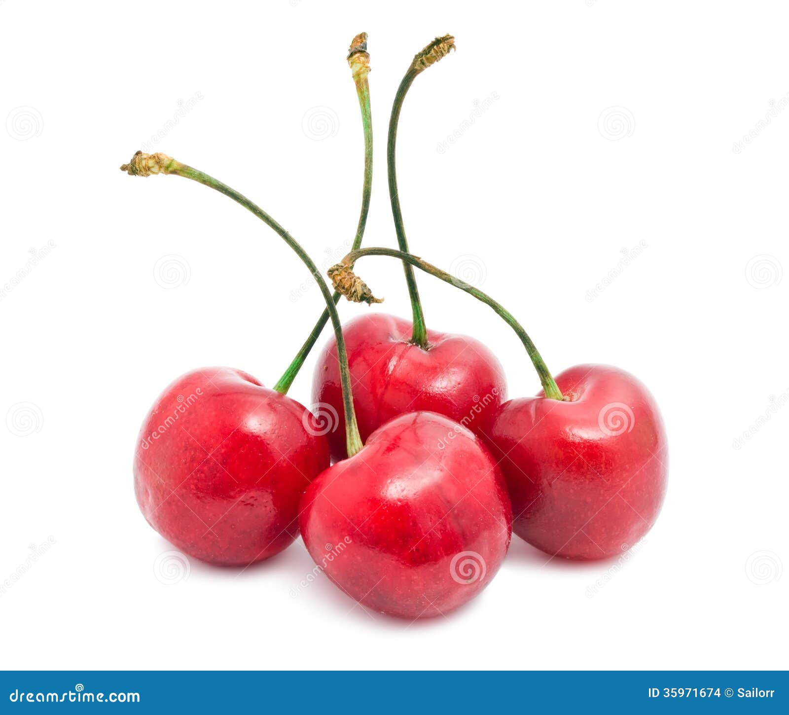 Red cherry stock photo. Image of food, white, healthy - 35971674