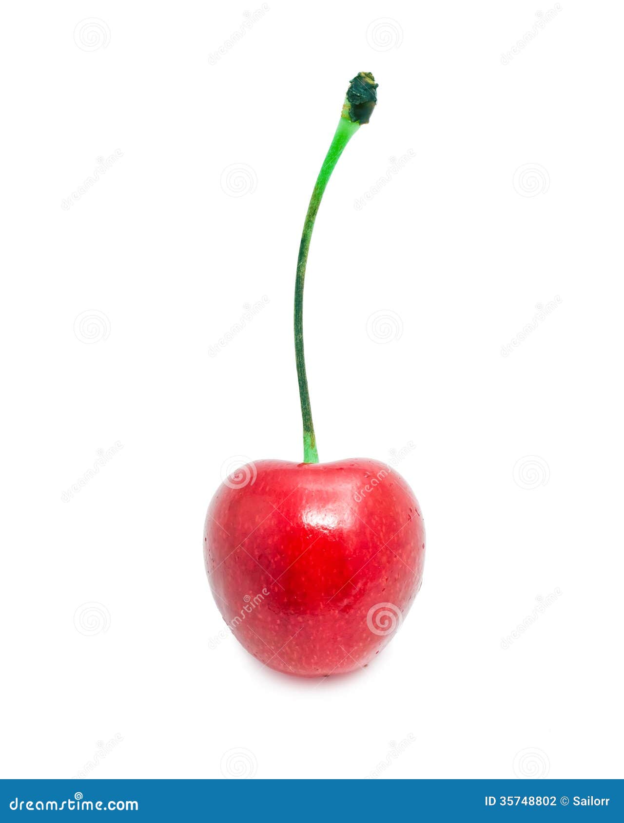 Red cherry stock photo. Image of delicious, berry, studio - 35748802
