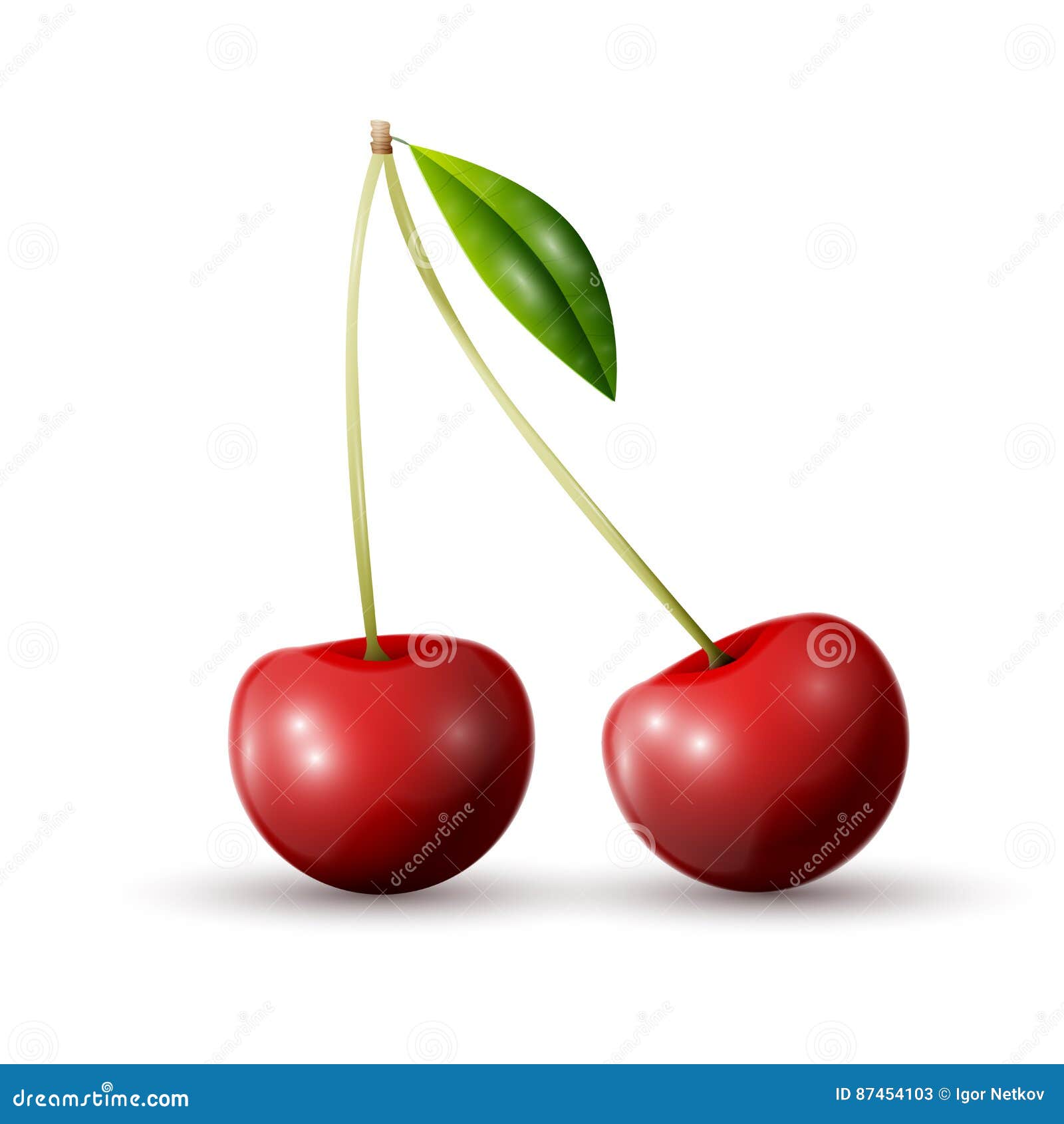 Red Cherry Berries Stock Vector Illustration Of Dessert 87454103