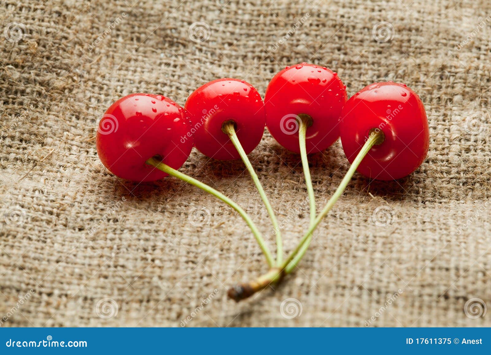 Red Cherry Bunch on Hessian Background Stock Image - Image of object ...