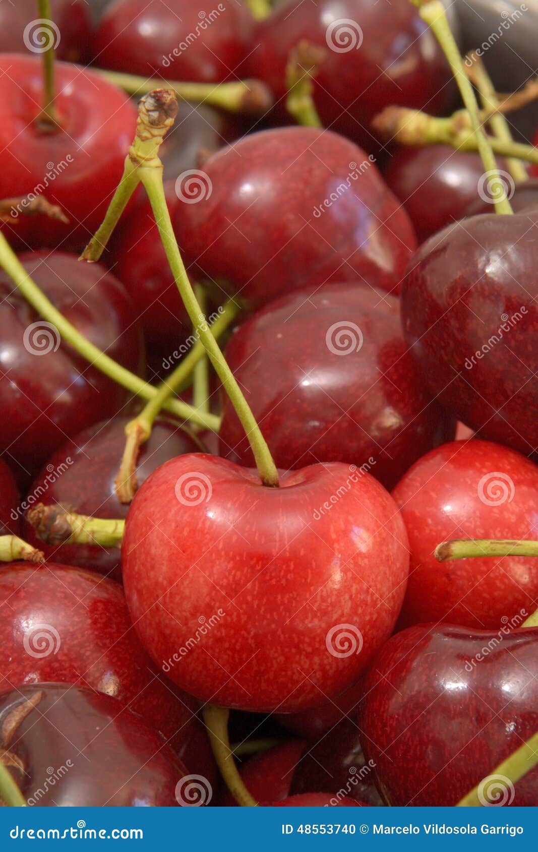 Red cherry stock photo. Image of tasty, productdessert - 48553740