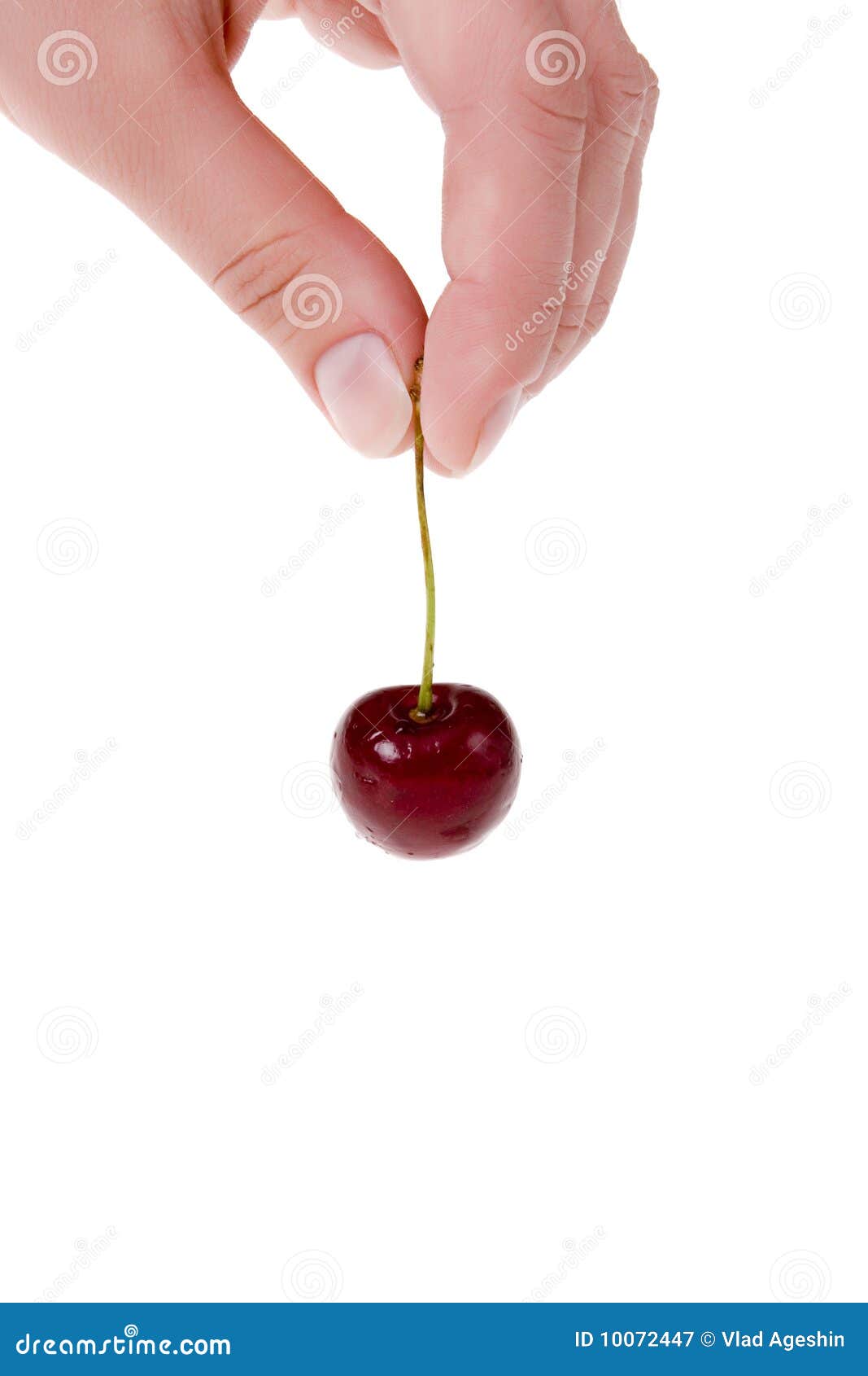Red cherry in hand stock image. Image of stem, isolated - 10072447