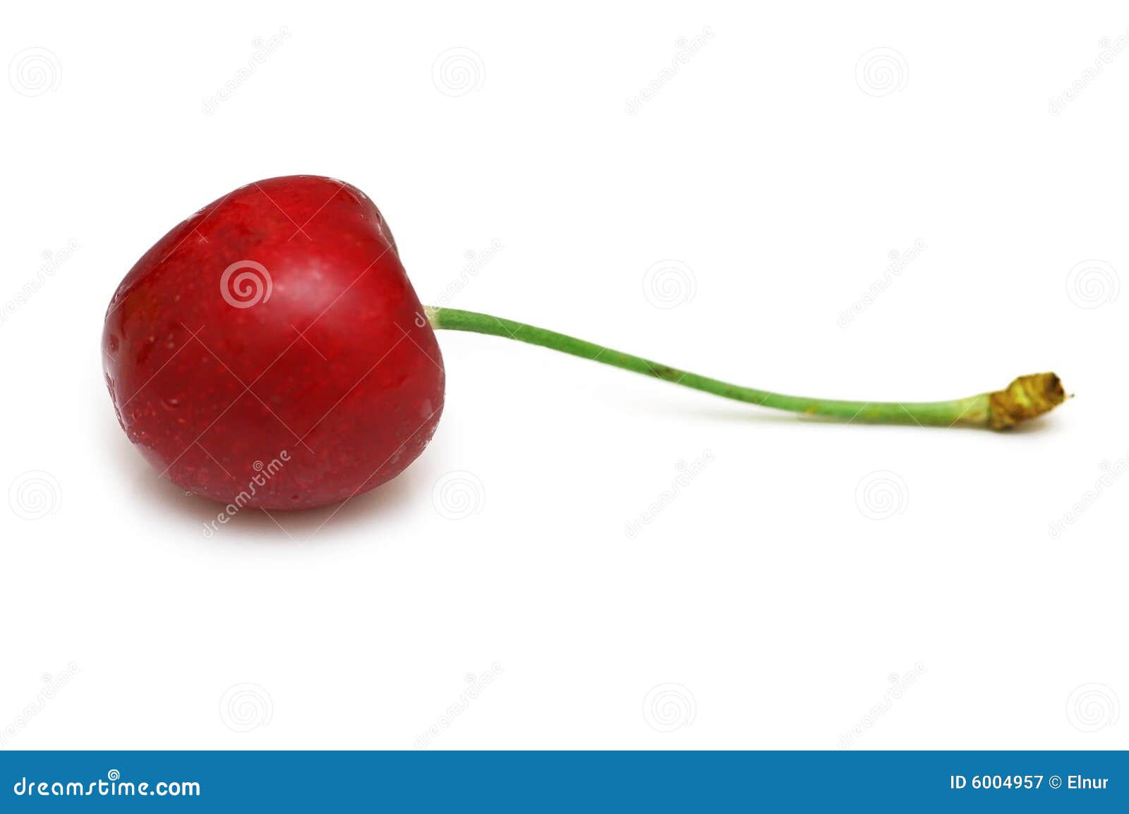 Red cherry isolated stock image. Image of natural, snack - 6004957