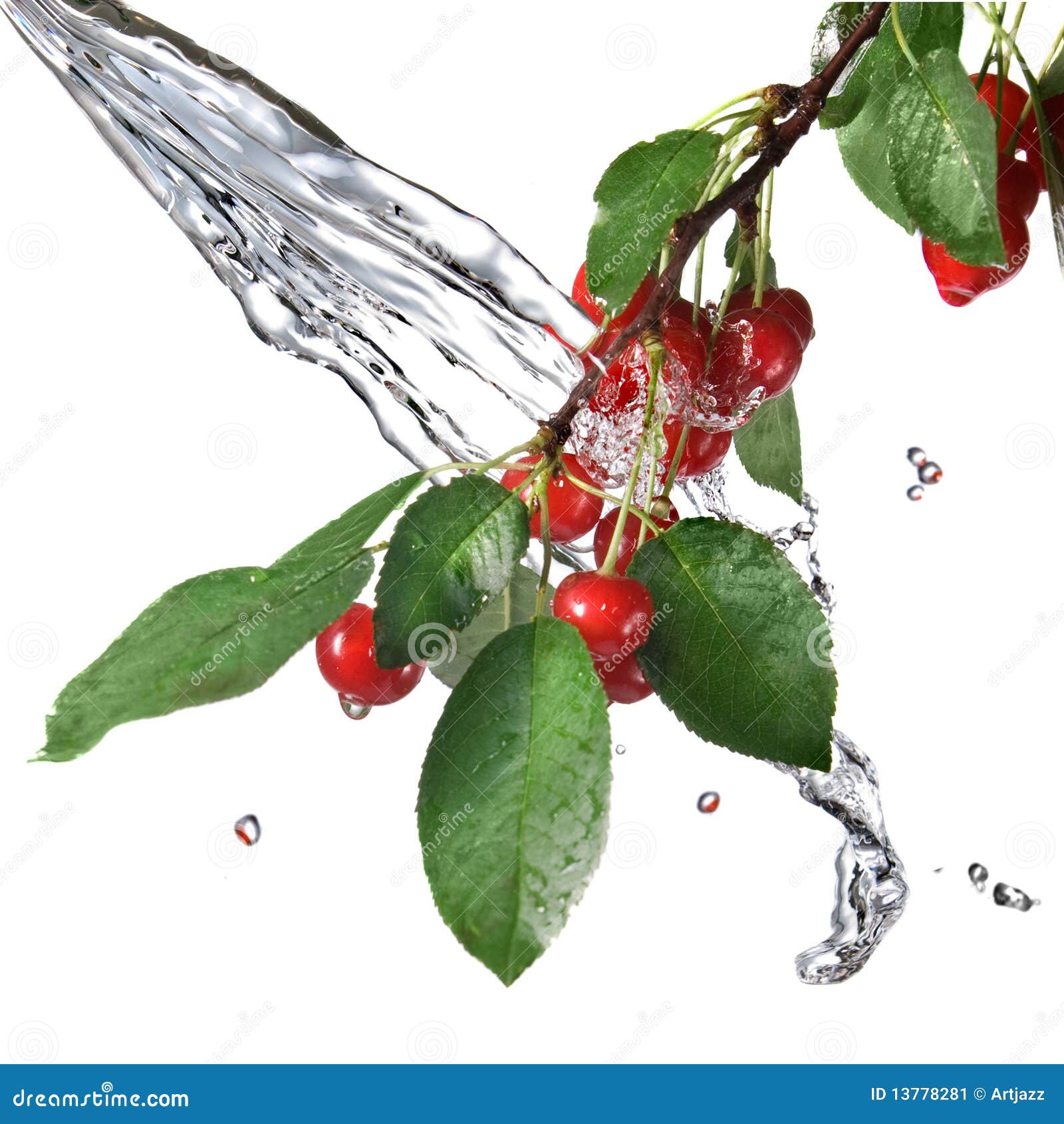 Red Cherry With Leaves And Water Splash Stock Image | CartoonDealer.com ...