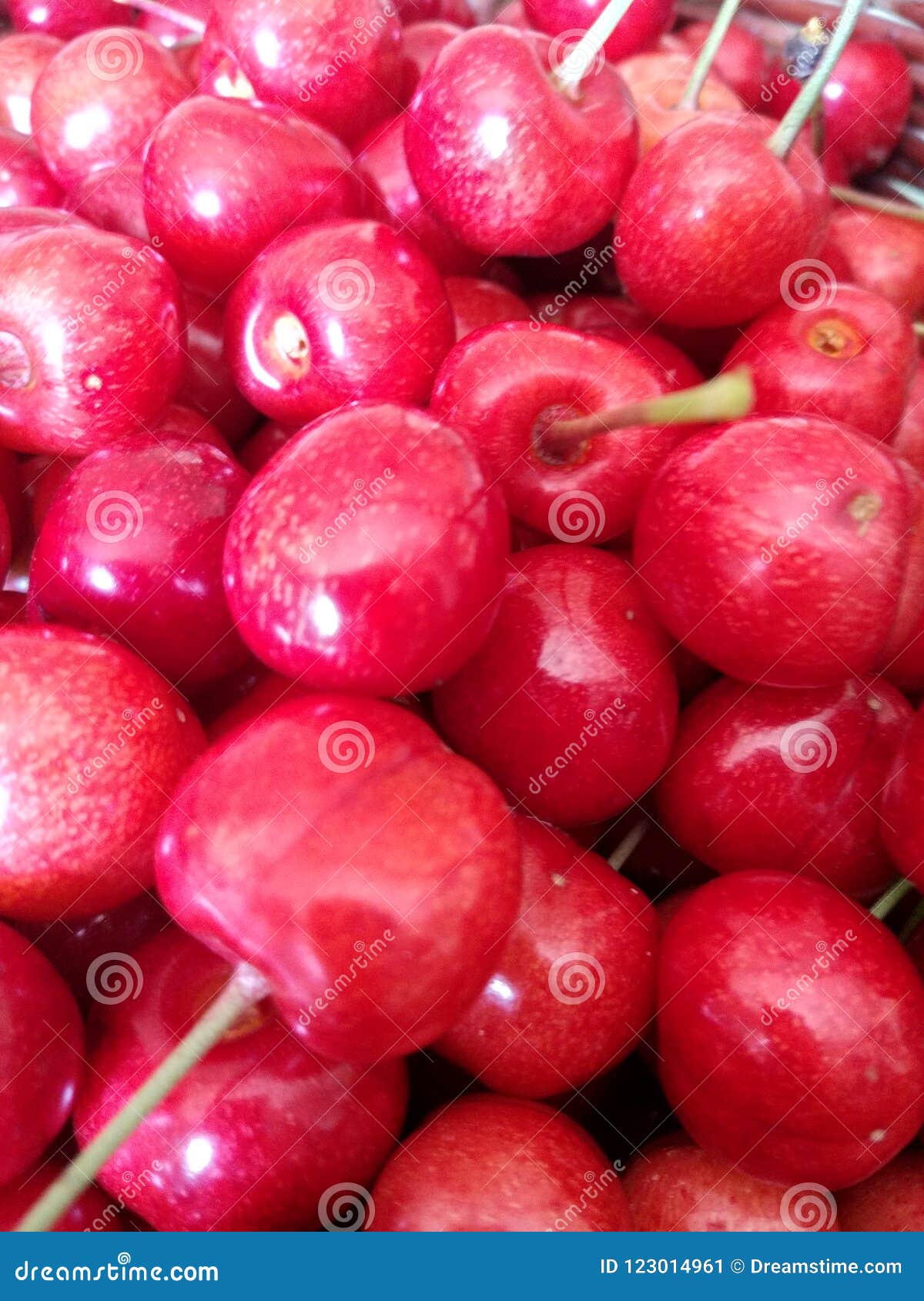 Red cherry stock image. Image of summer, nature, fruit - 123014961