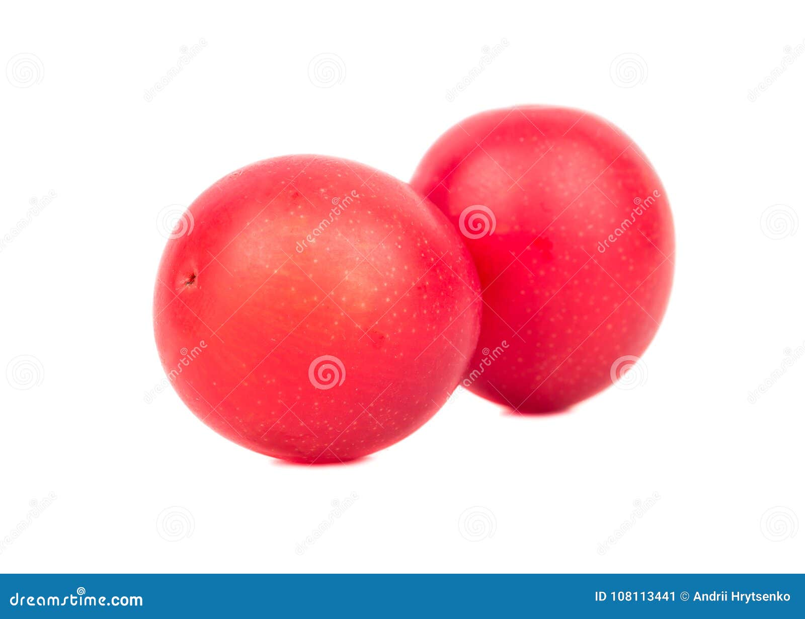 Red cherry plum stock image. Image of plum, garden, ingredient - 108113441
