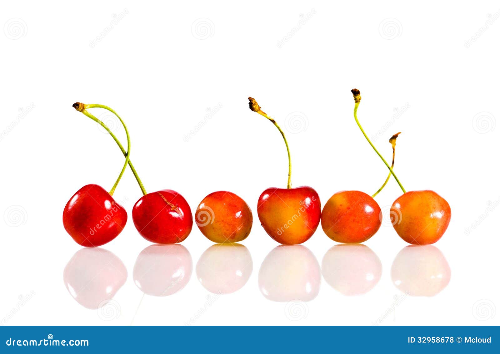 Red Cherry stock photo. Image of stem, white, isolated - 32958678