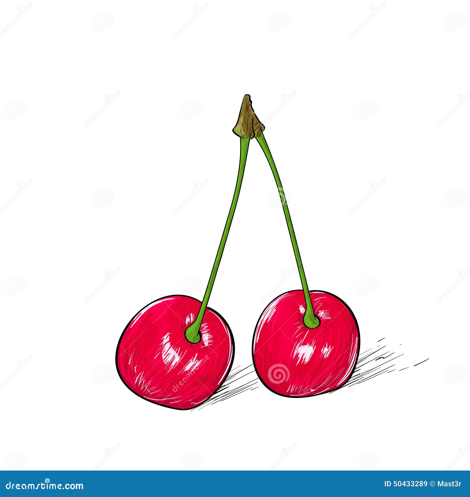 Cherry Sketch Vector Illustration Art | CartoonDealer.com #234017875