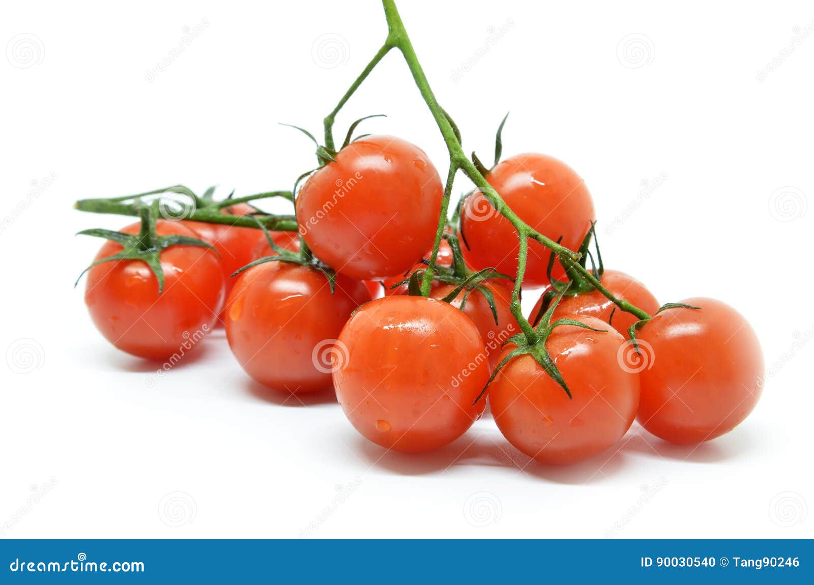 Red cherry tomato stock photo. Image of garden, gravy - 90030540