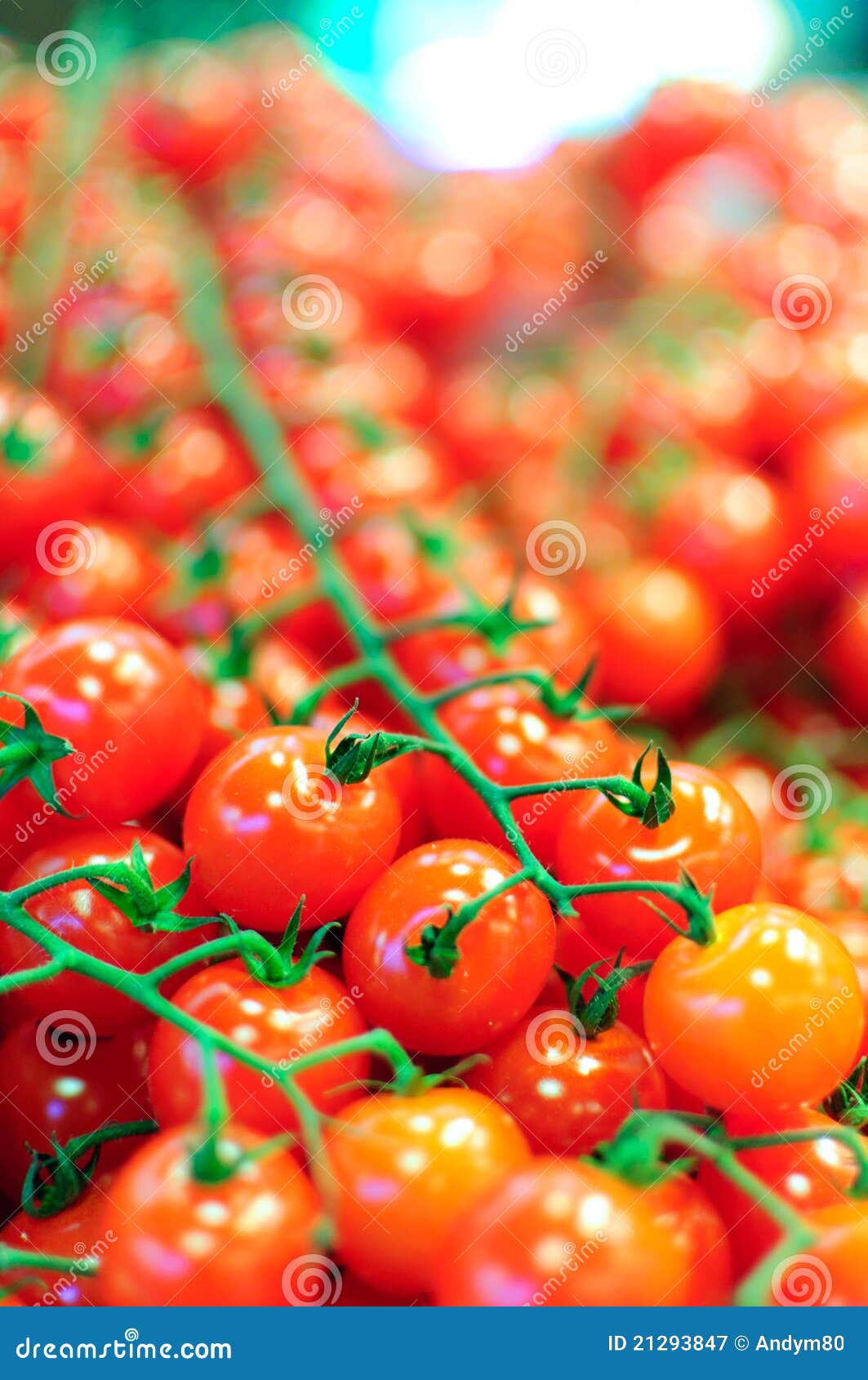 Red cherry tomatoes stock image. Image of nature, juicy - 21293847