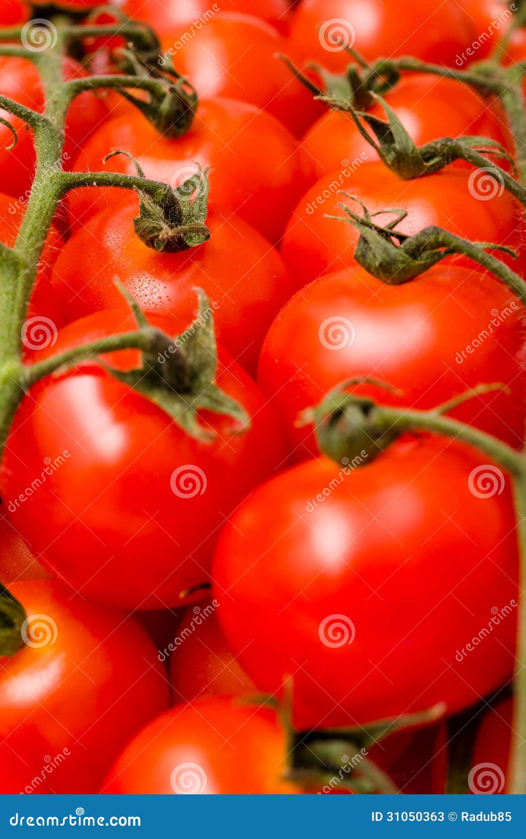 Red Cherry Tomatoes stock image. Image of healthy, backdrop - 31050363