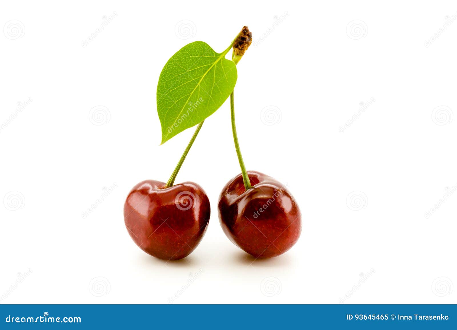 Red Cherry on White Background Stock Image - Image of ingredient, color ...