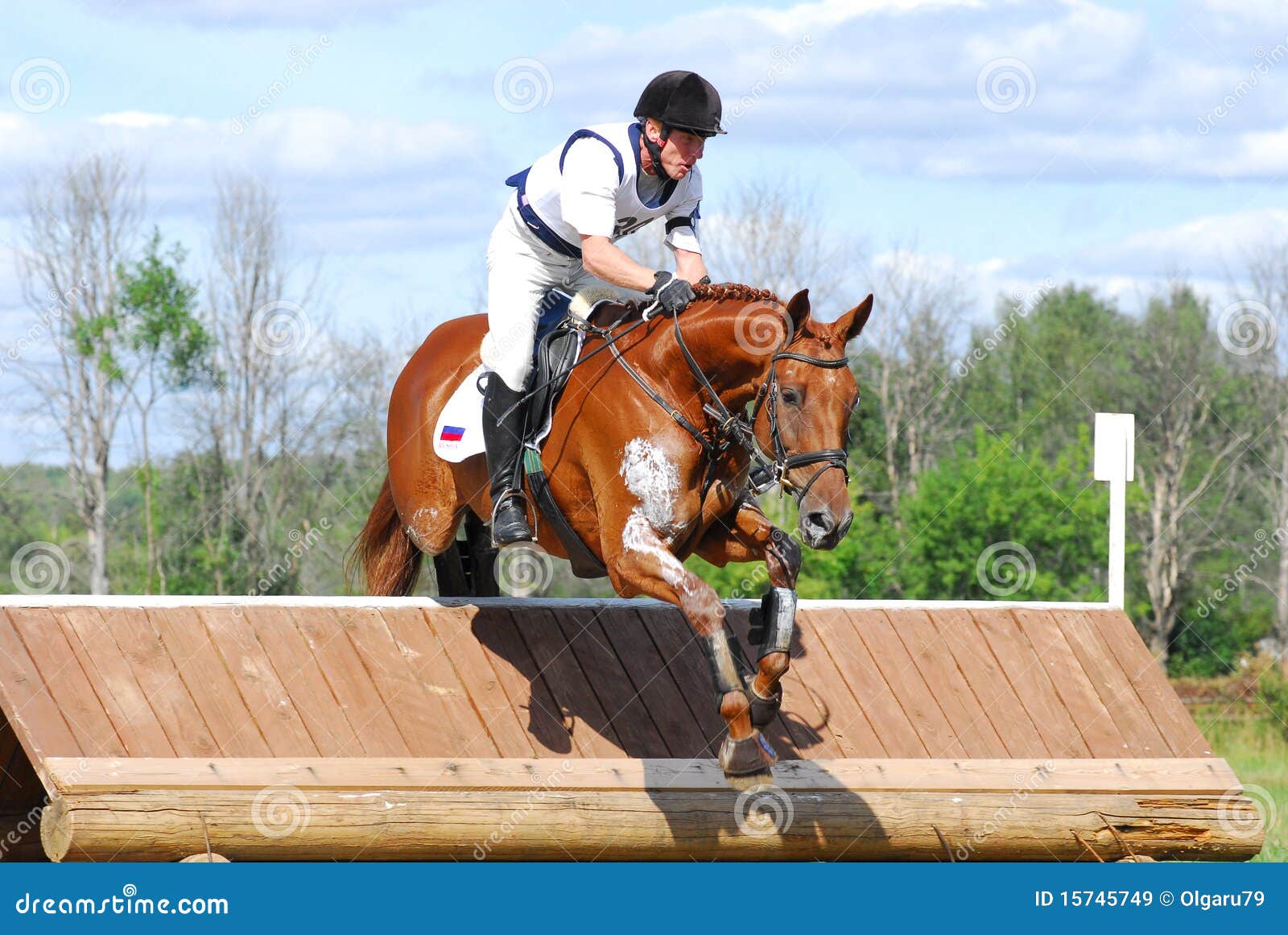 Red chestnut horse jumping editorial stock image. Image of courage ...