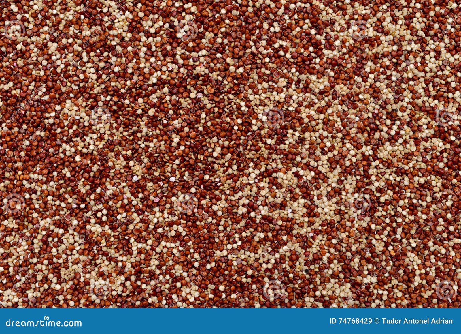 Red chia seeds texture stock image. Image of texture - 74768429