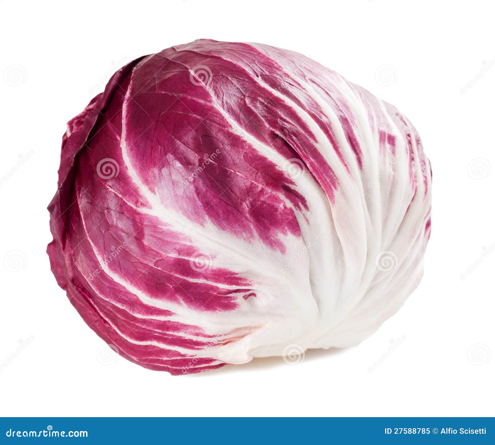 Red chicory stock image. Image of organic, cabbage, background - 27588785