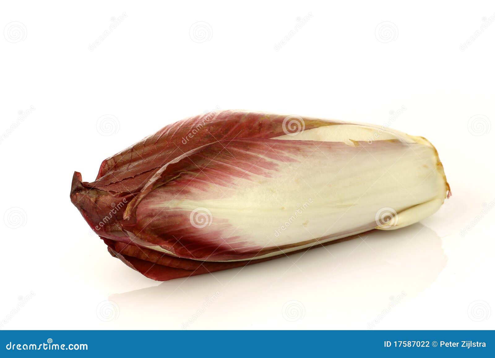 Red Chicory( Cichorium Intybus) Stock Photo - Image of cuisine, salad ...