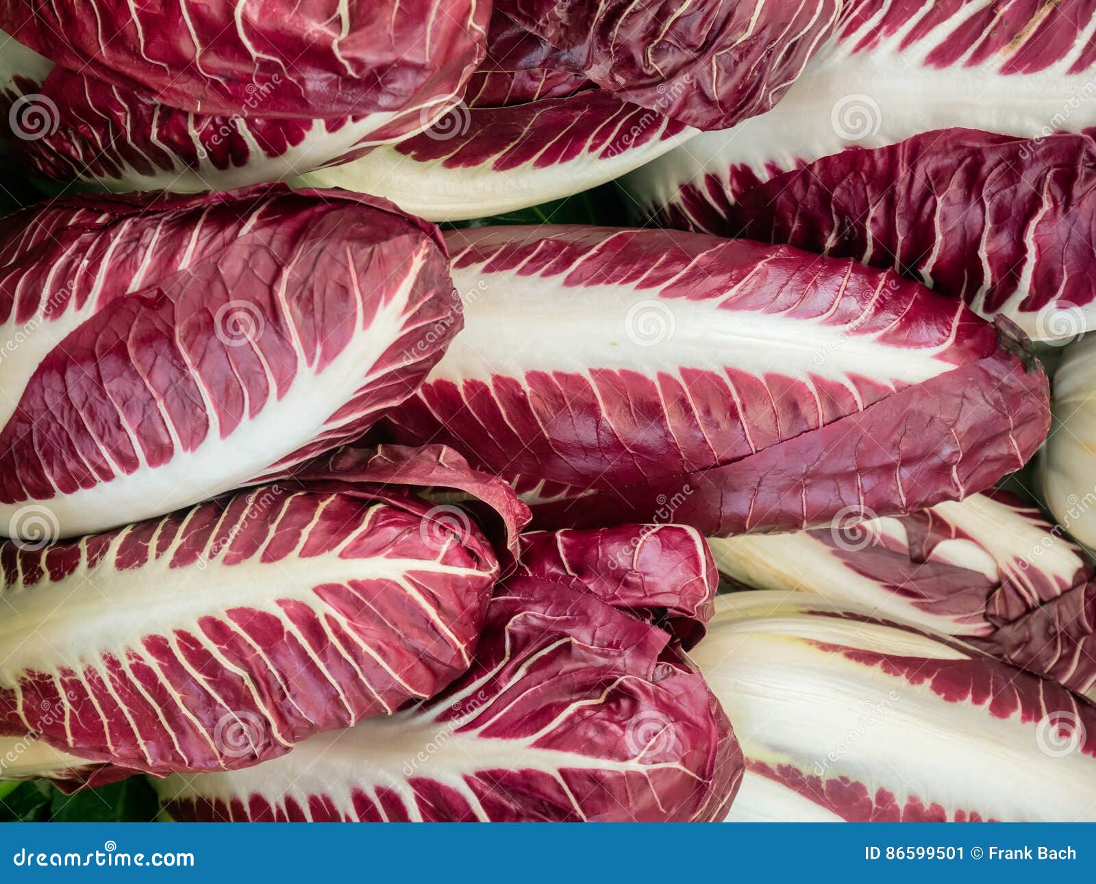 Red Chicory on a Farmers Market Stock Image - Image of food, vegan ...