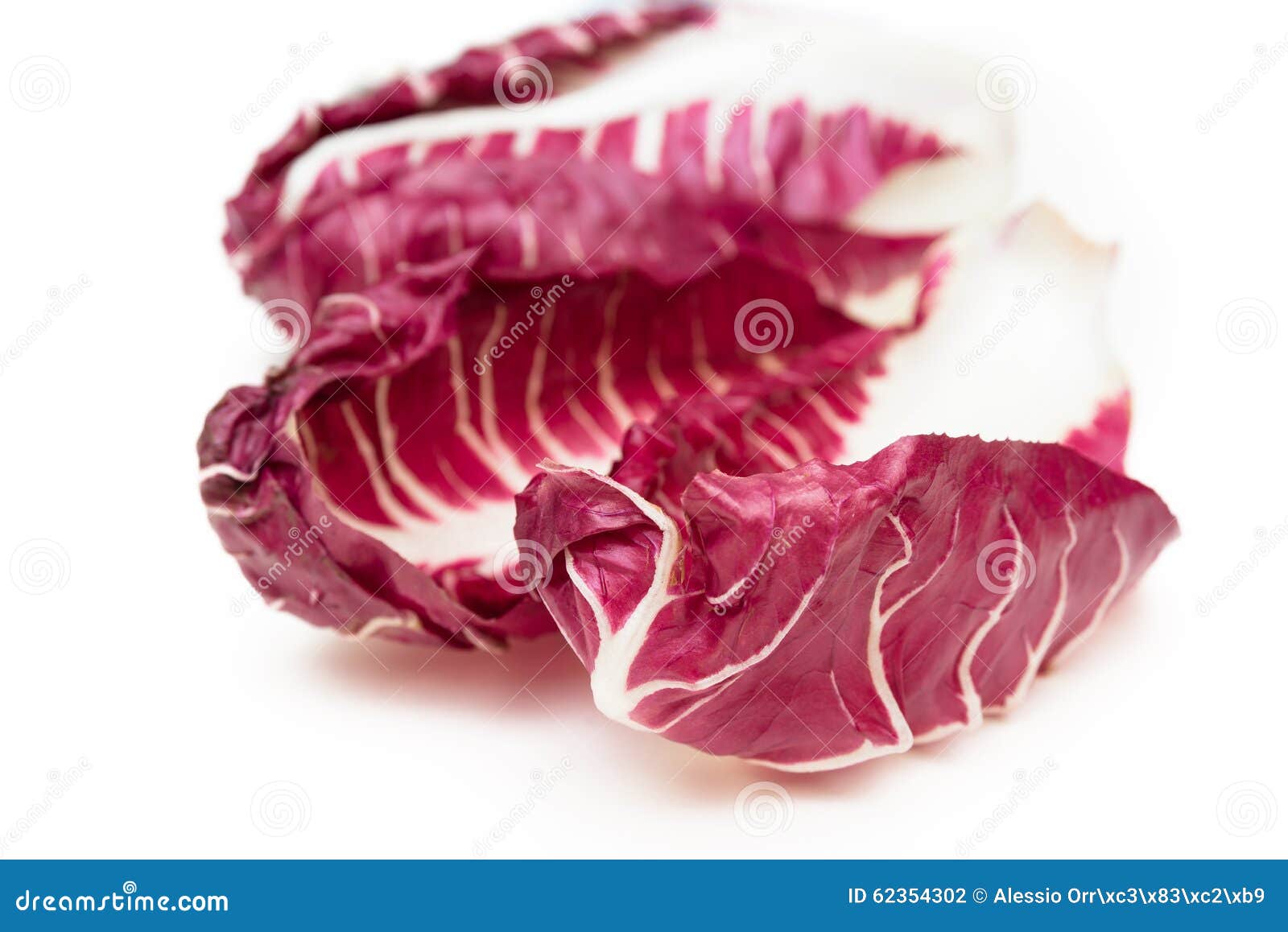 Red chicory stock photo. Image of food, salad, fresh - 62354302