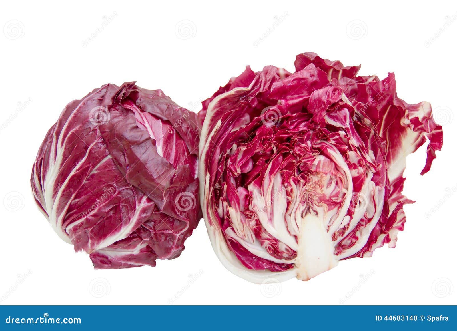 Red Chicory stock photo. Image of background, natural - 44683148