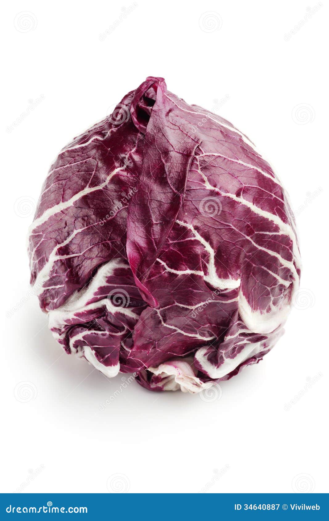 Red chicory stock image. Image of rosso, crunchy, close - 34640887