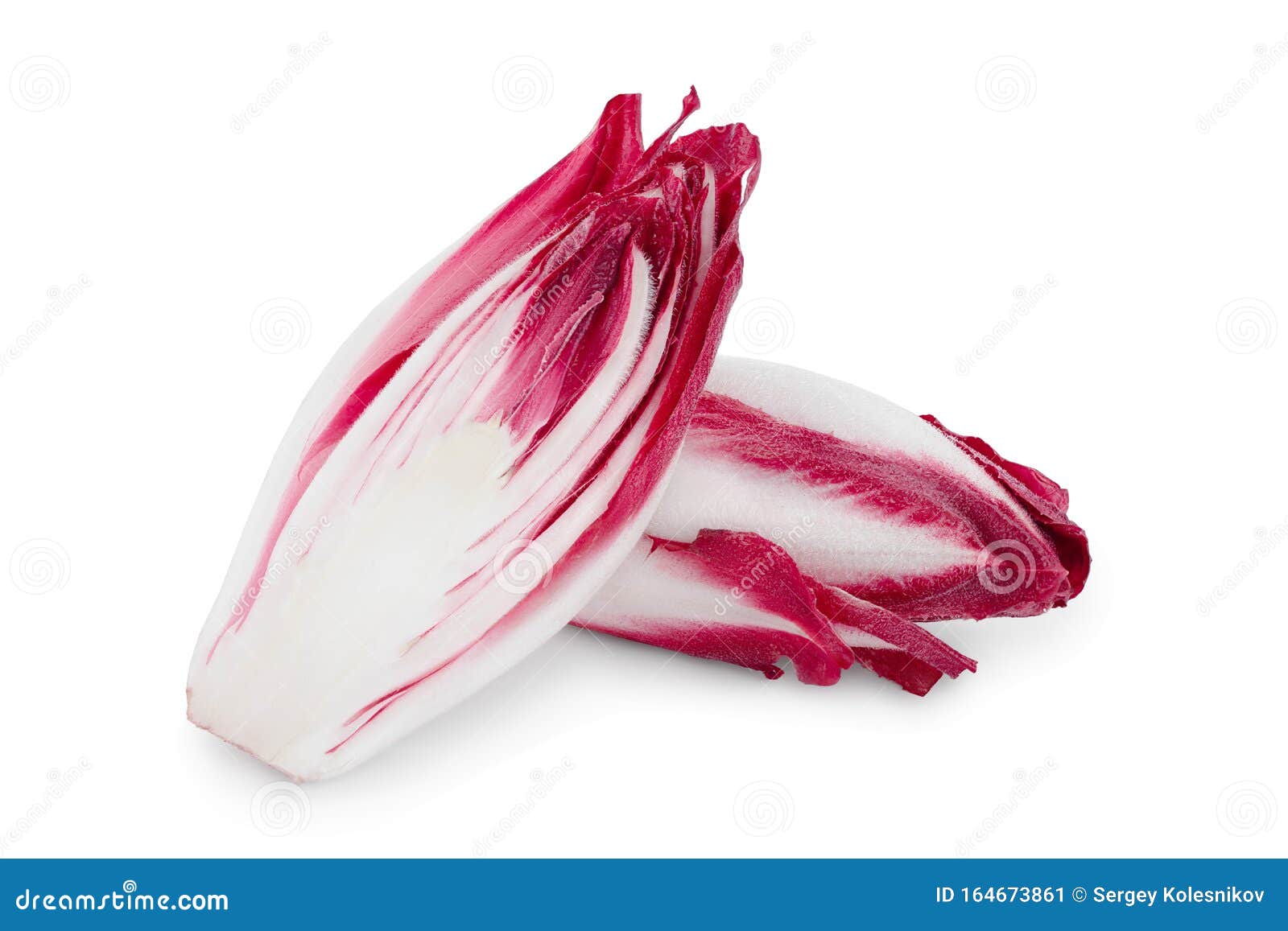 Red Chicory or Radicchio Isolated on White Background Stock Image ...