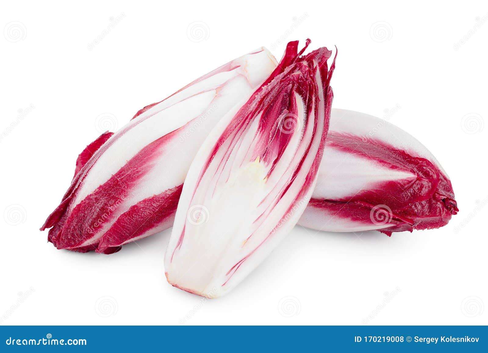 Red Chicory or Radicchio Isolated on White Background Stock Photo ...