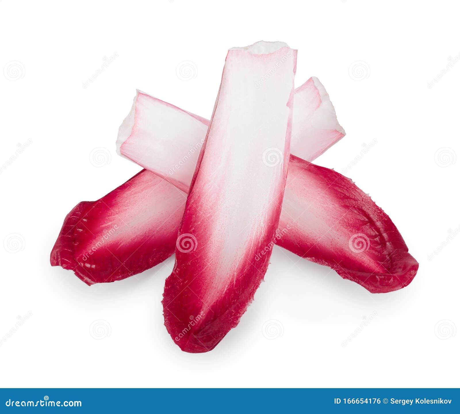 Red Chicory or Radicchio Leaves Isolated on White Background Stock ...