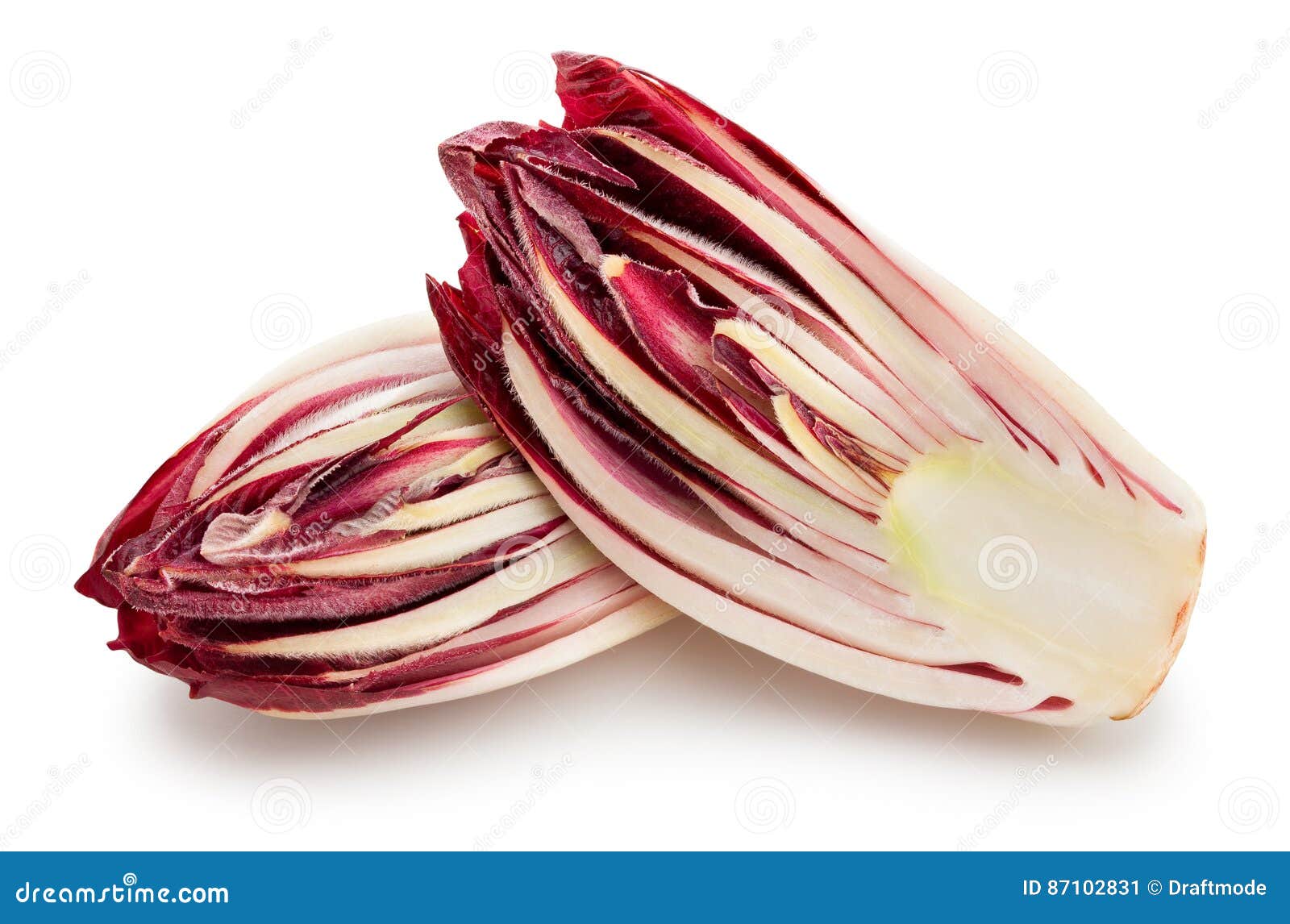 Red chicory stock image. Image of textured, trevigiano - 87102831